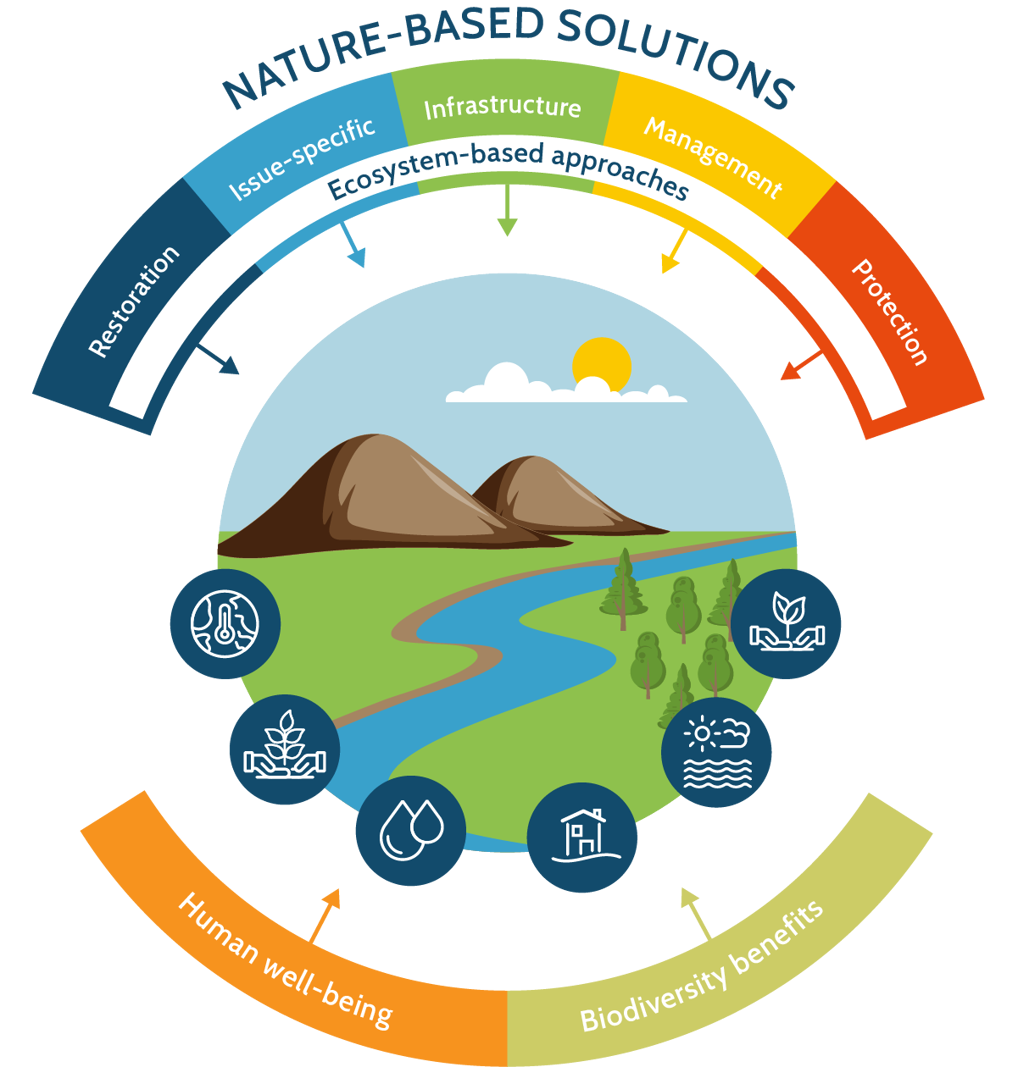 Nature-Based Solutions | Aqua Consultants