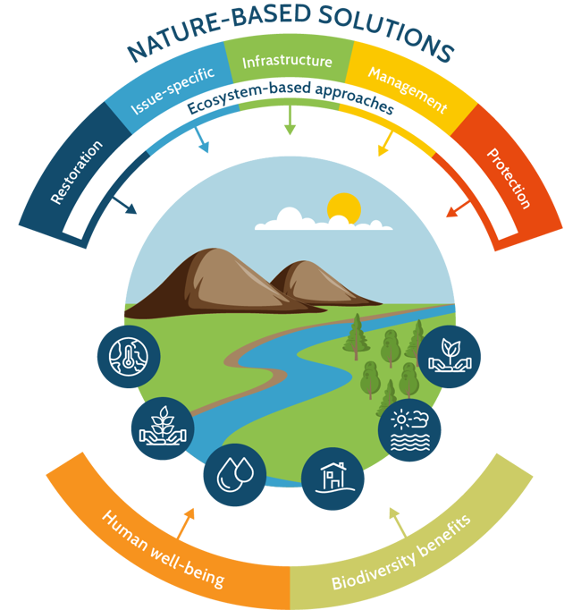 Nature-Based Solutions | Aqua Consultants