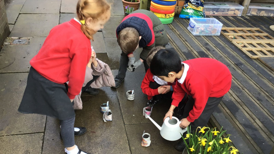 STEM Project To Increase Biodiversity at Allerton CofE Primary School ...