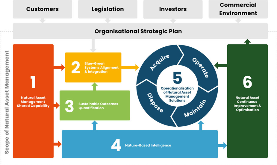 Adapting Asset Management Systems for Nature-First Thinking To Maximise ...