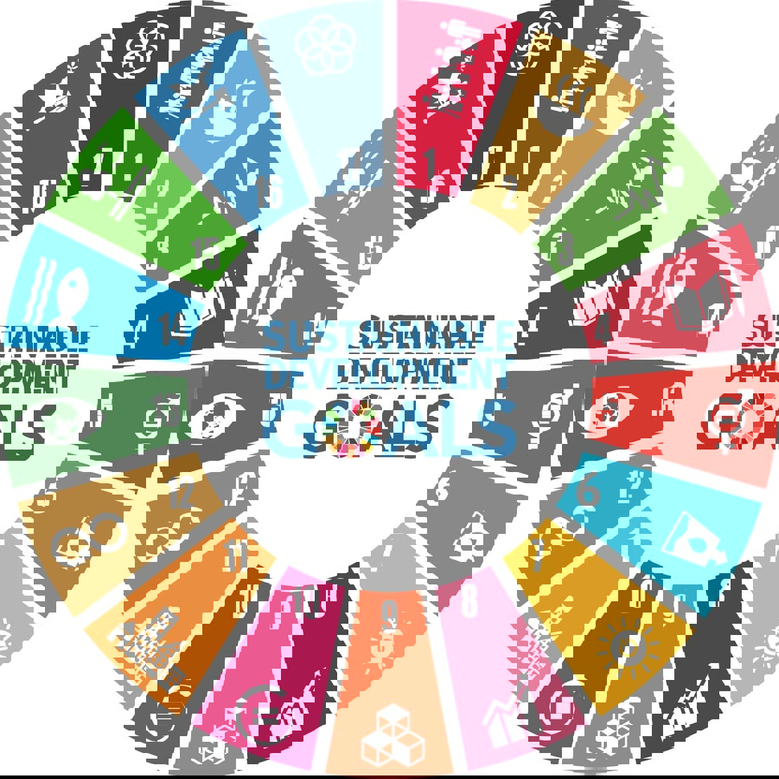 The Six Capitals Framework | Aqua Consultants