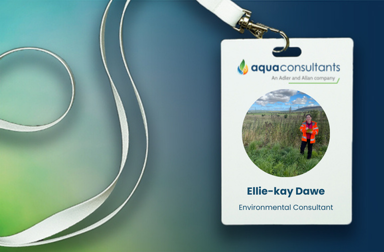 Careers | Aqua Consultants