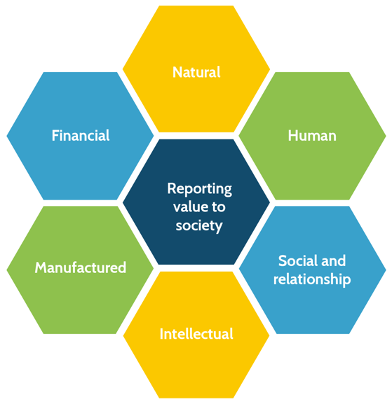 The Six Capitals Framework | Aqua Consultants