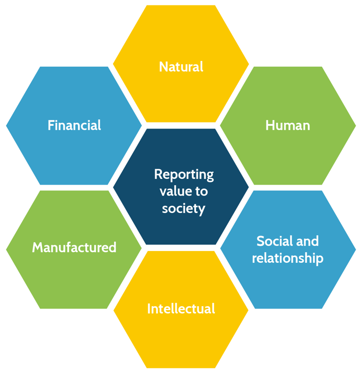The Six Capitals Framework | Aqua Consultants