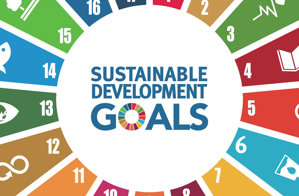 The Six Capitals Framework | Aqua Consultants